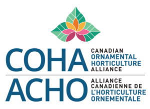 COHA-ACHO